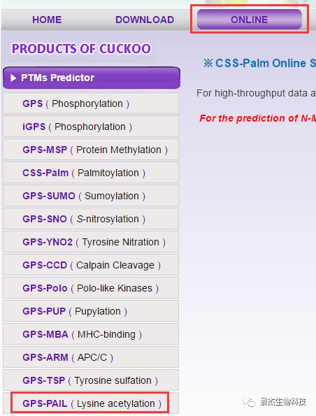 实用！如何预测蛋白质上的修饰位点？CSS-Palm一下！
